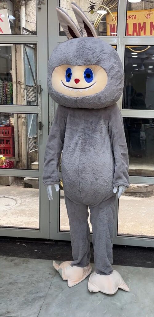 Labubu Halloween Costume For Adults - RentMyCostume